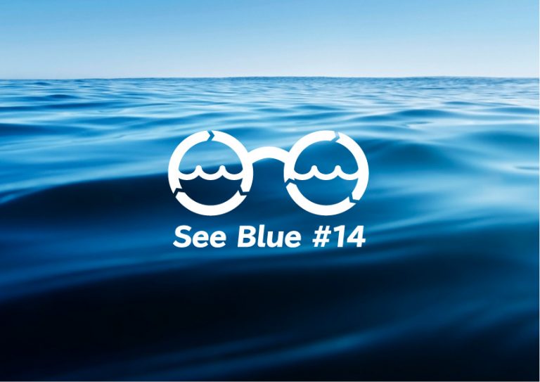 環境問題に取り組むプロジェクト「See Blue Project」始動 | INTERMESTIC INC.